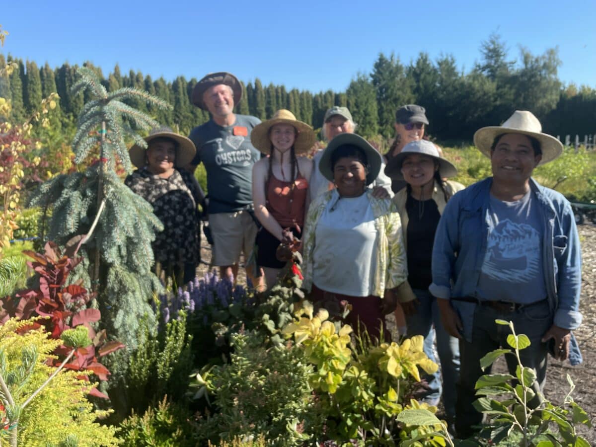 Welcome to Kent's Garden & Nursery! | Kent's Nursery